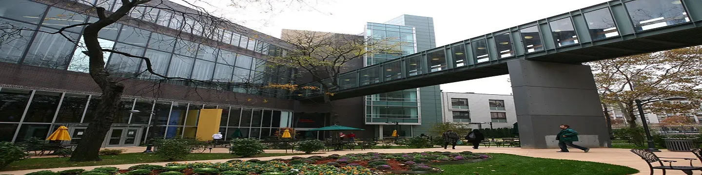 Long Island University - Brooklyn | Undergraduate